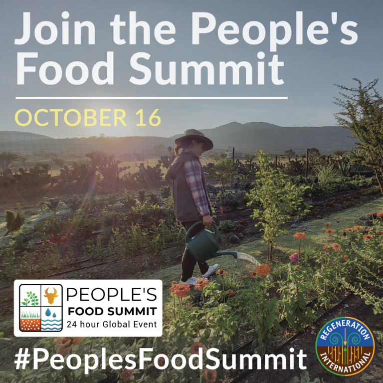 Celebrating World Food Day 2023: The People’s Food Summit – Shumei ...