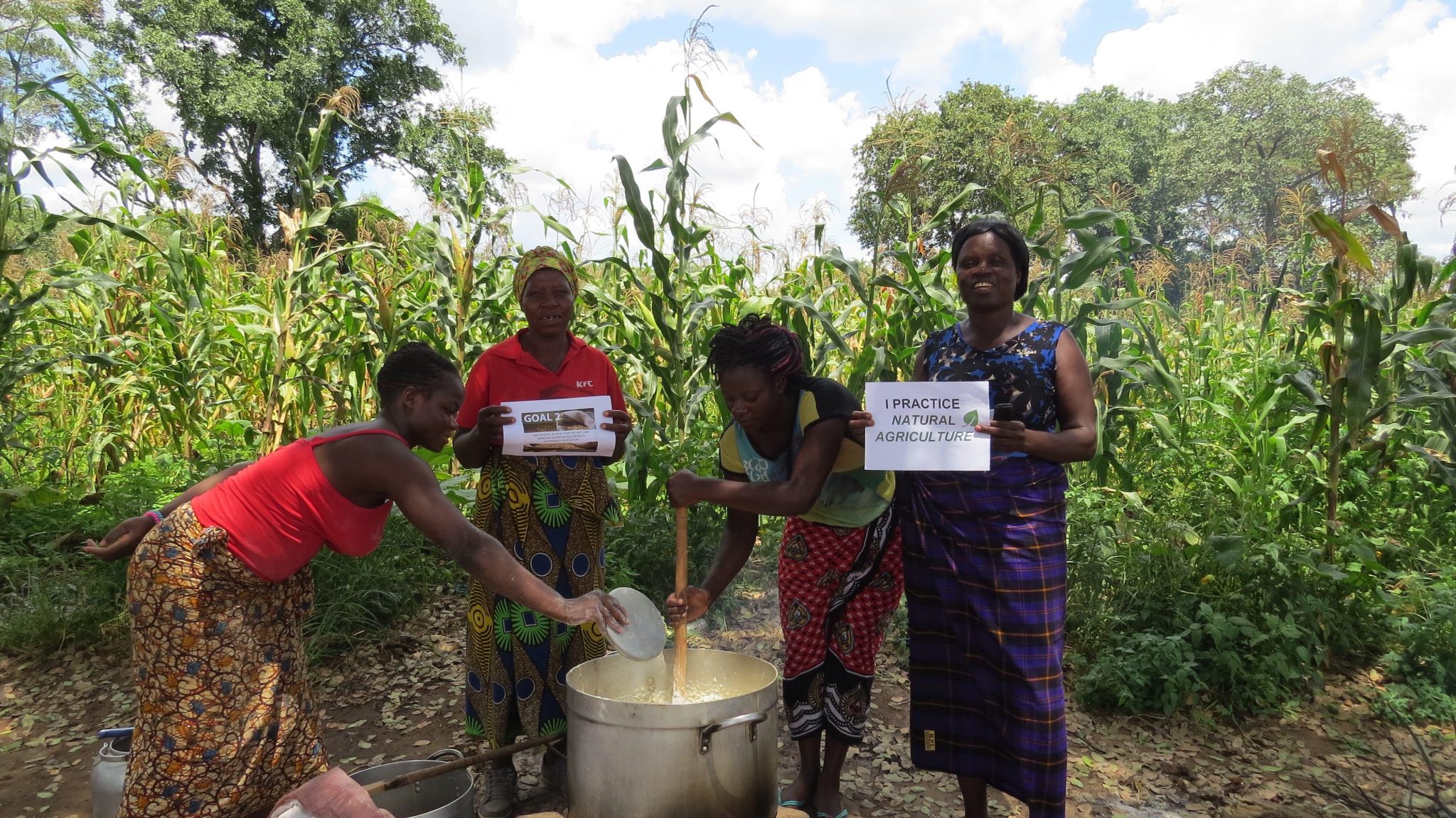 Shumei International